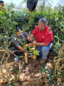 Gulf Breeze Regional Water System - City of Gulf Breeze